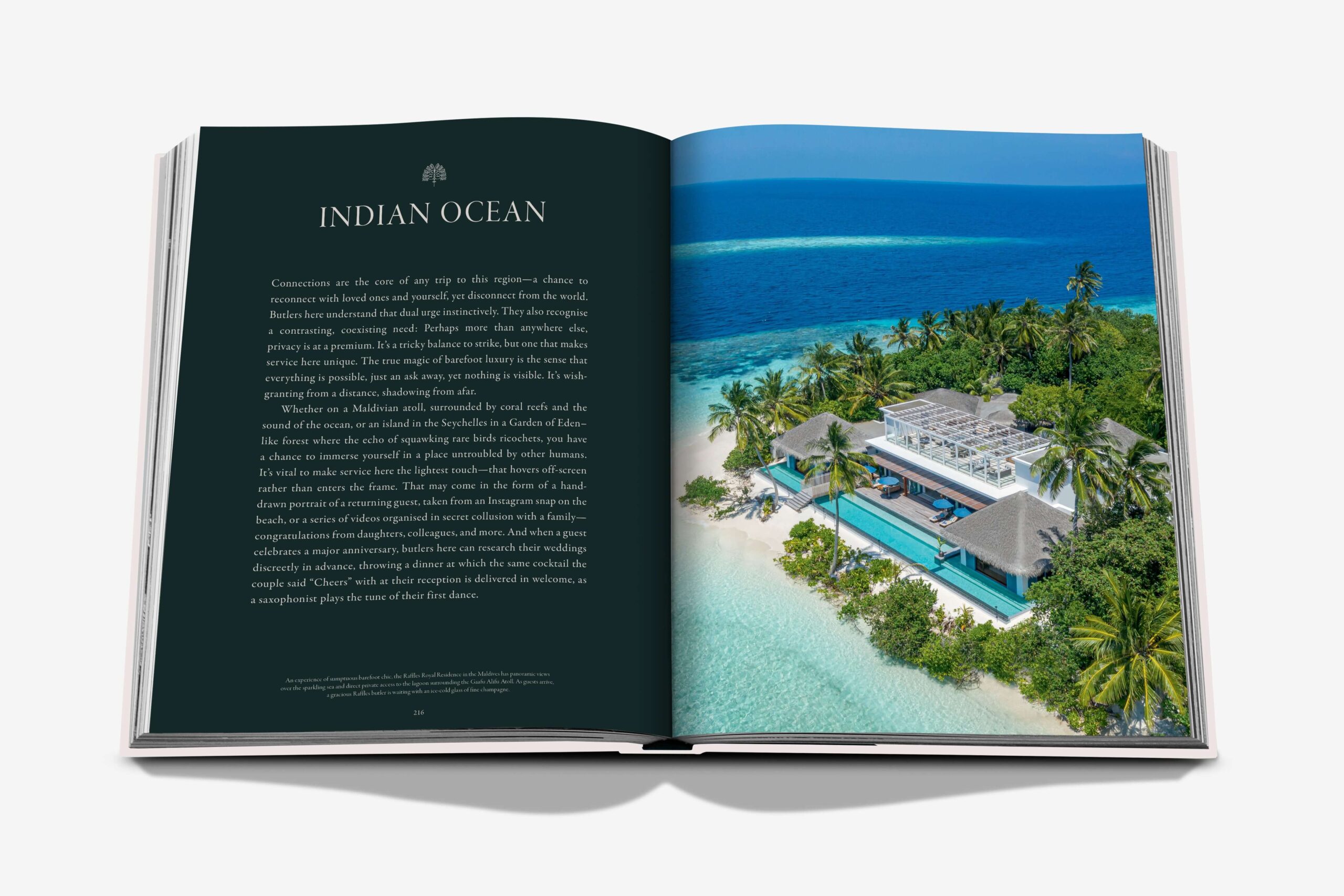 Knyga „Raffles“ – Elegant Home